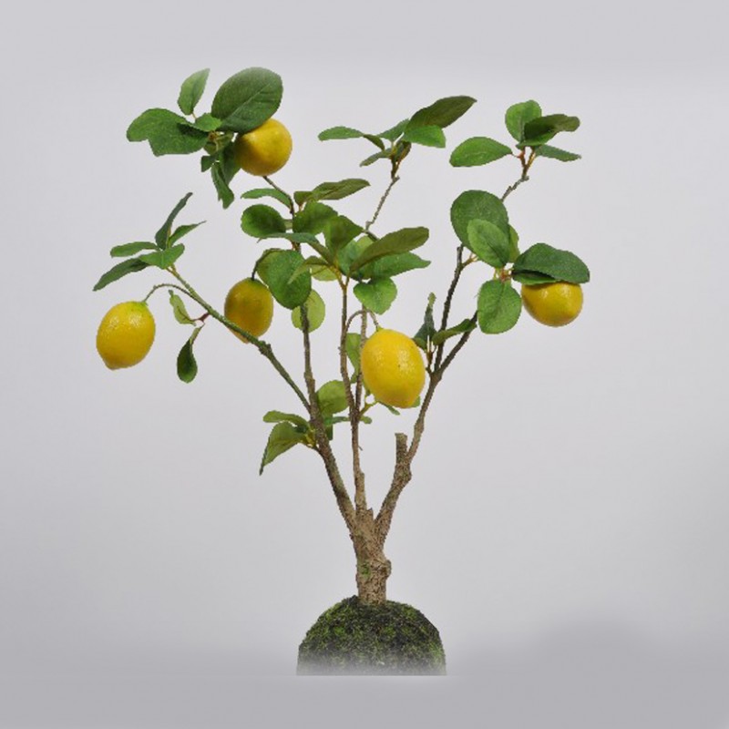 PIANTA LIMONI H60 CM SI | 123336 | piante e fiori artificiali linea 2 ...